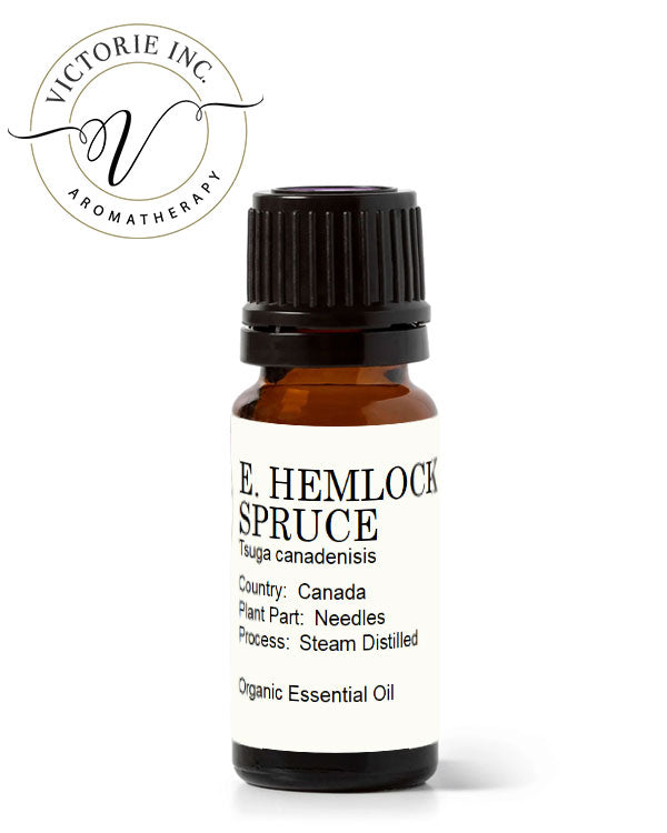 Spruce E. Hemlock Essential Oil | Victorie Inc.