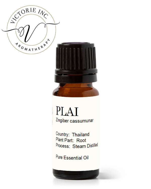 Plai Essential Oil | Victorie Inc.